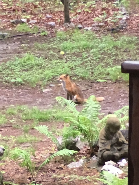 Another Slice of Nature