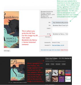 What is ALT TEXT and How To Use it? By Denise M. Colby