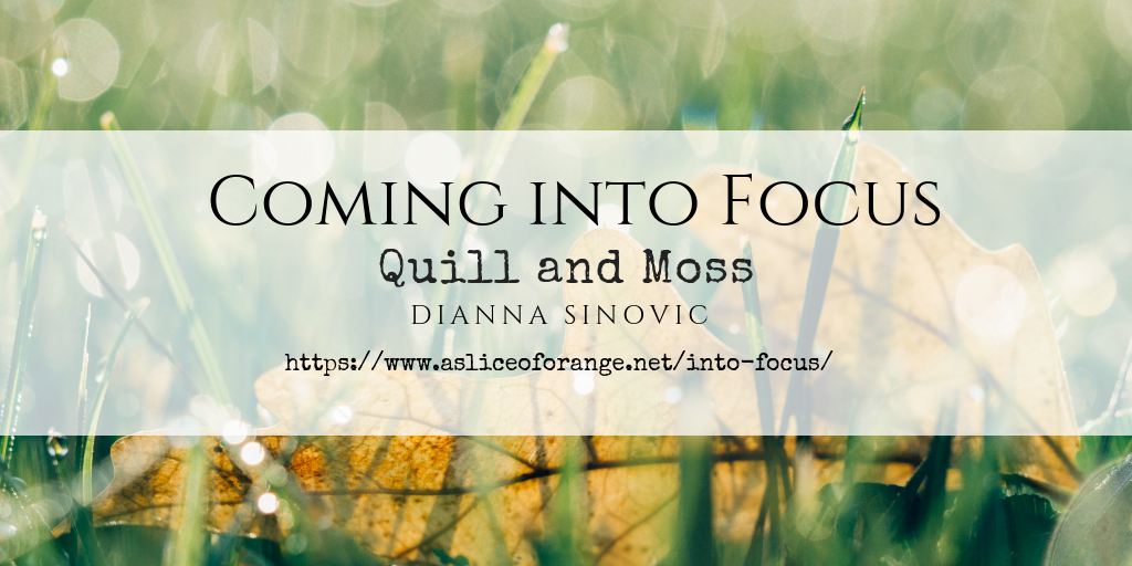 Coming into Focus by Dianna Sinovic