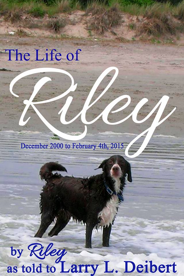THE LIFE OF RILEY - A Slice of Orange