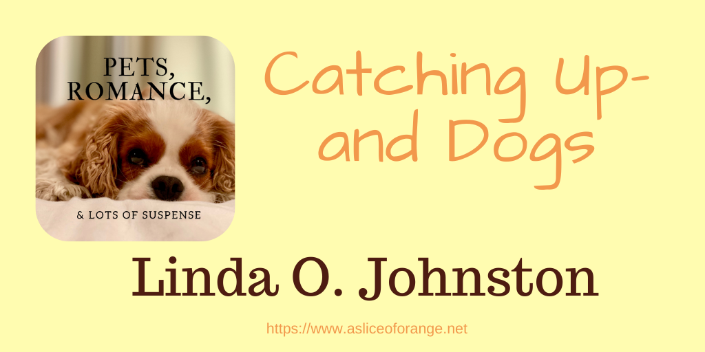 Catching Up–and Dogs