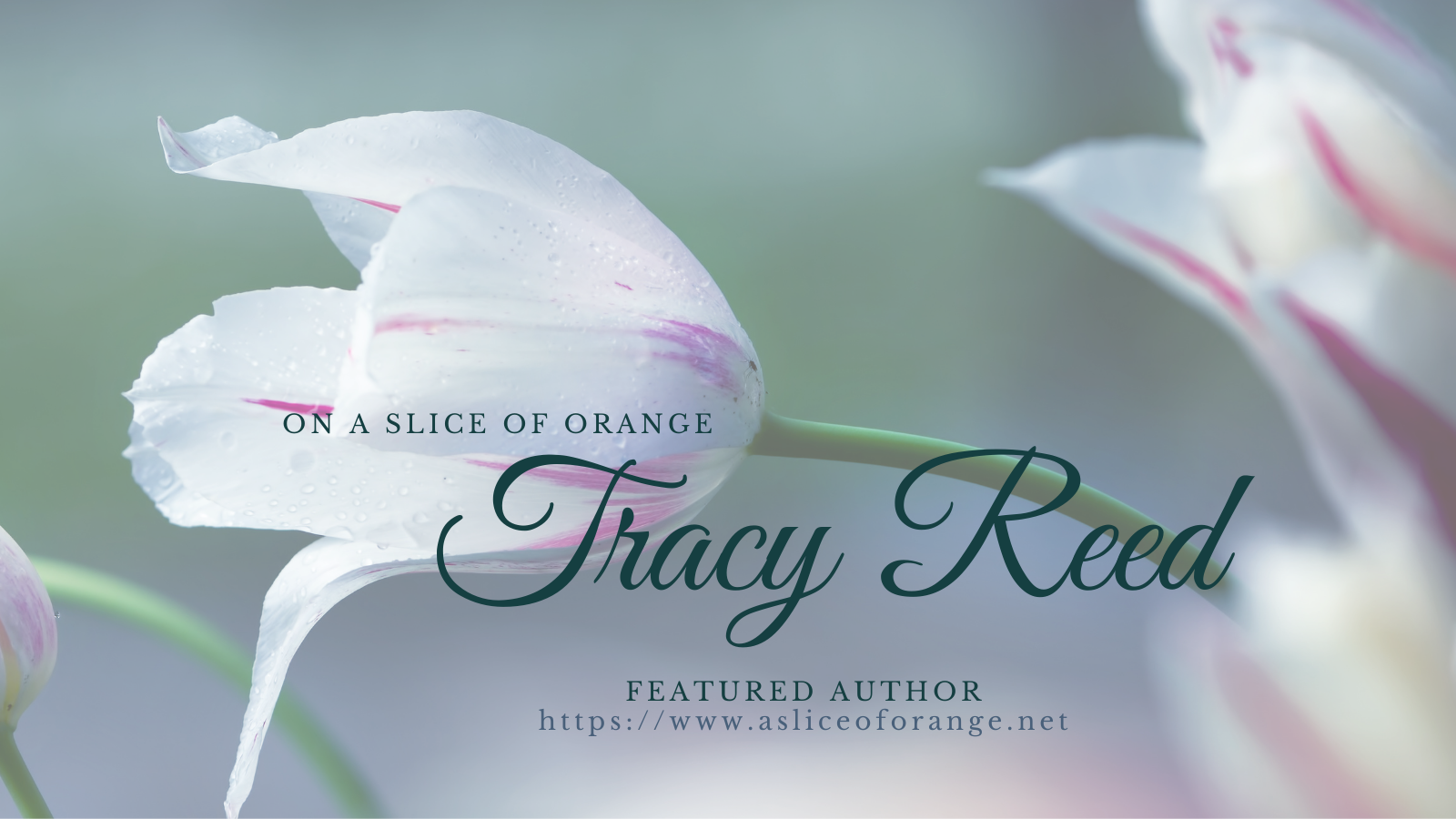 Tracy Reed: Our April Featured Author